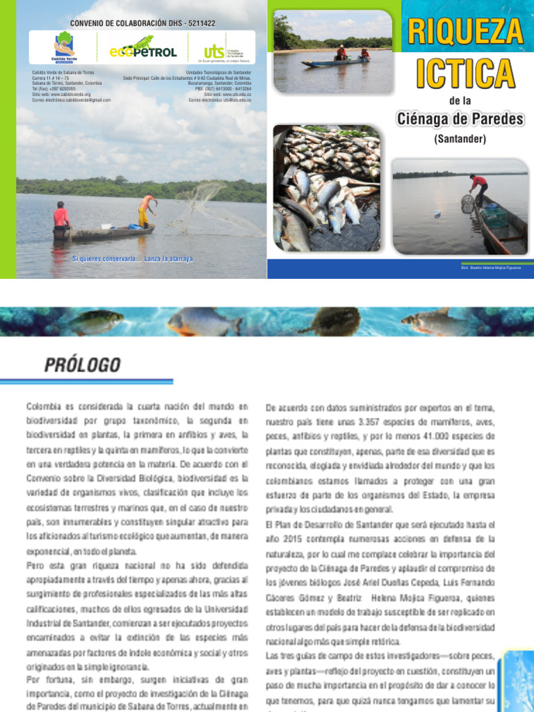 Guia de Divulgación Peces | PDF