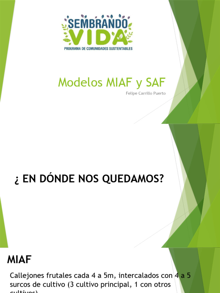 Modelos MIAF y SAF - FCP 260219 | PDF | Zona tropical | Plantas