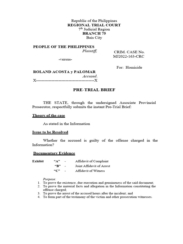 PT Brief PPL vs. Roland Acosta Homicide | PDF | Law