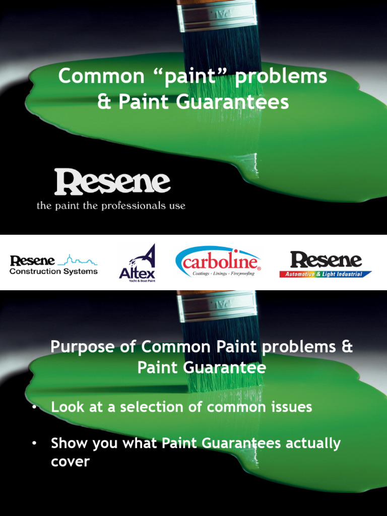 009 Common Paint Problems | PDF