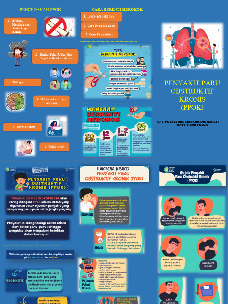 Cara Efektif Berhenti Merokok dan Cegah PPOK | PDF