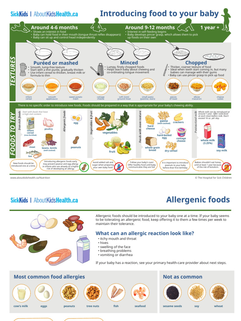Introducing - Food - To - Baby - and - Allergy - Foods Allergy | PDF ...