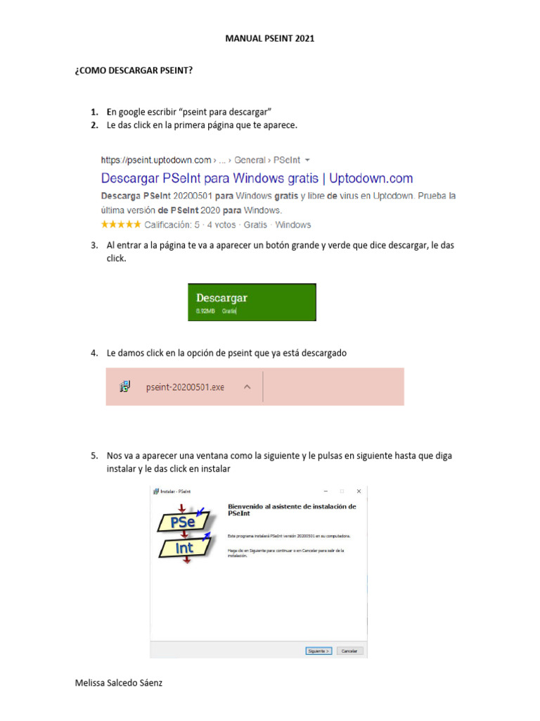 Manual de Pseint | PDF