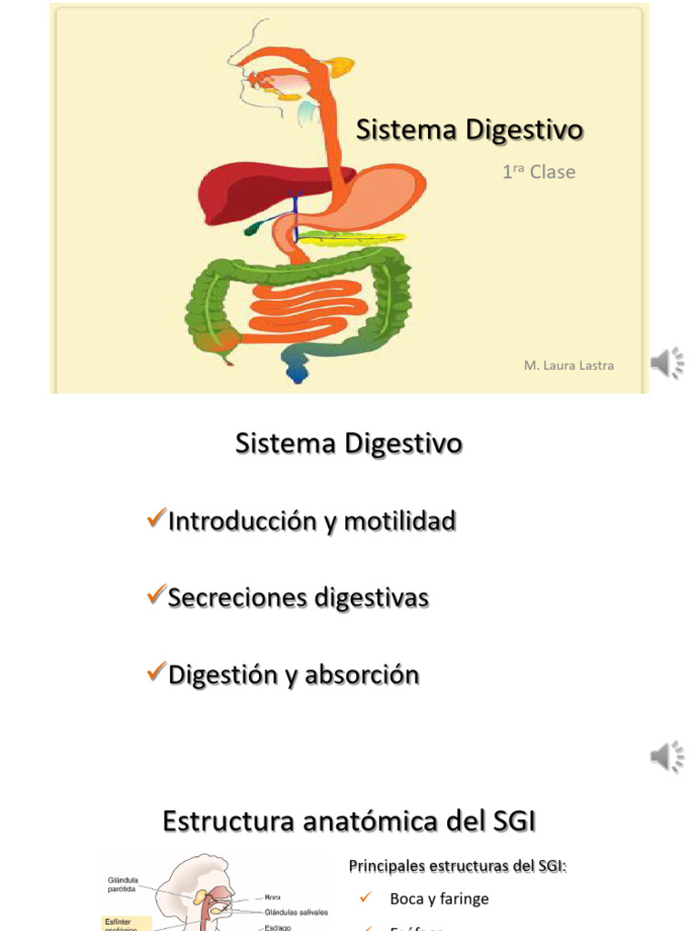 Intro y Motilidad SGI | PDF