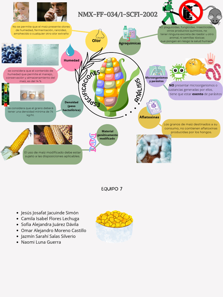 Mapa Mental Maíz | PDF