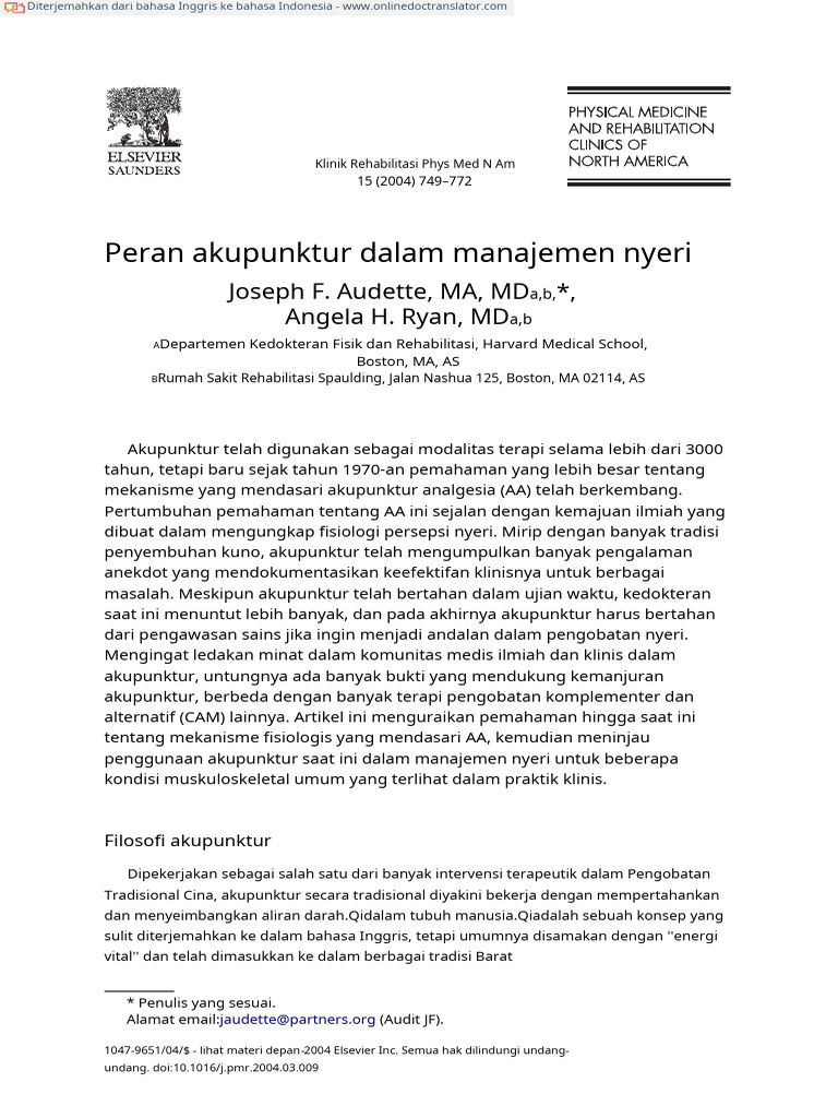 Audette2004 en Id | PDF