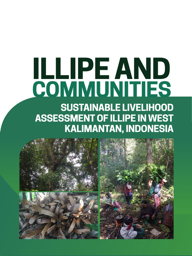 Illipe and Communities - West Kalimantan | PDF