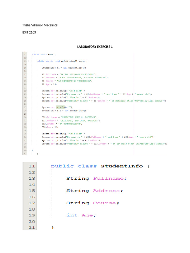 Lab 1 Oop | PDF