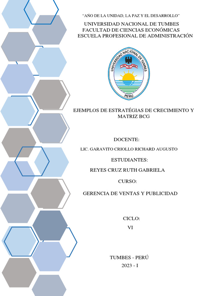 Ejercicios de Estrategia de Crecimiento y Matriz bcg2 | PDF