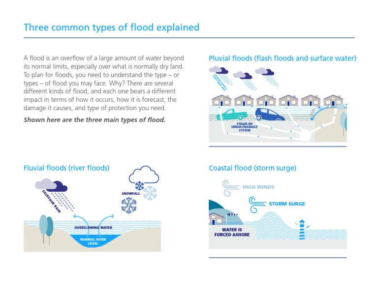 Three Common Types of Flood-Part1 | PDF