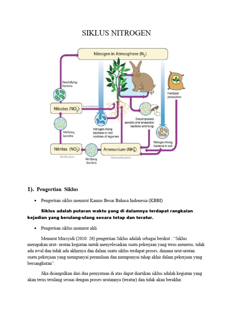 Tugas Siklus Nitrogen | PDF | Sains & Matematika