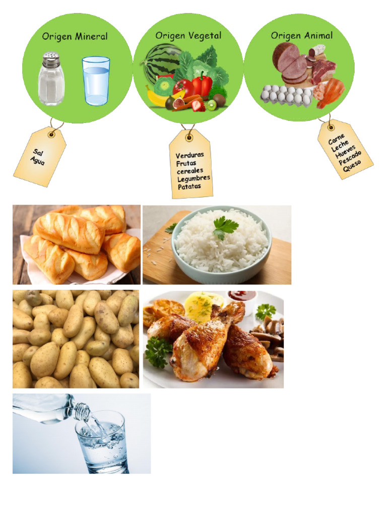 Alimentos segun su origen | PDF