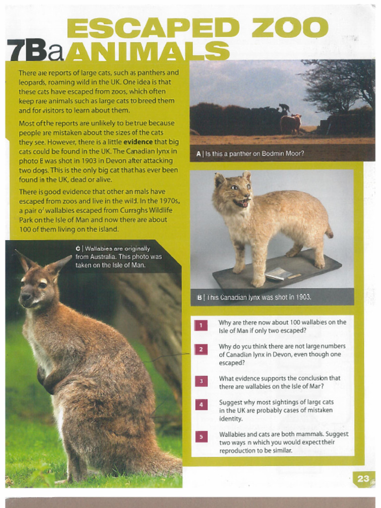 Y7 Exploring Science Text 3 7B Sexual Reproduction in Animals Pp23-38 | PDF