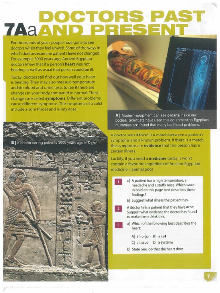 Y7 Exploring Science Text 2 7A Cells, Tissues Organs and Systems Pp7-22 ...