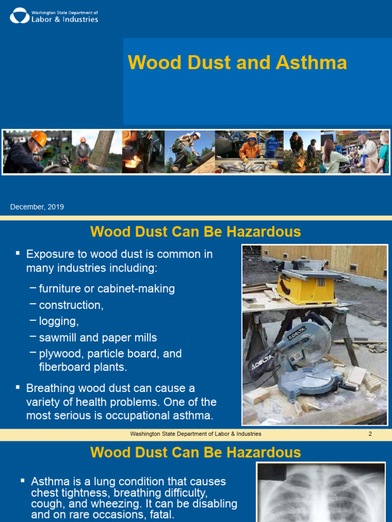 Wood Dust | PDF