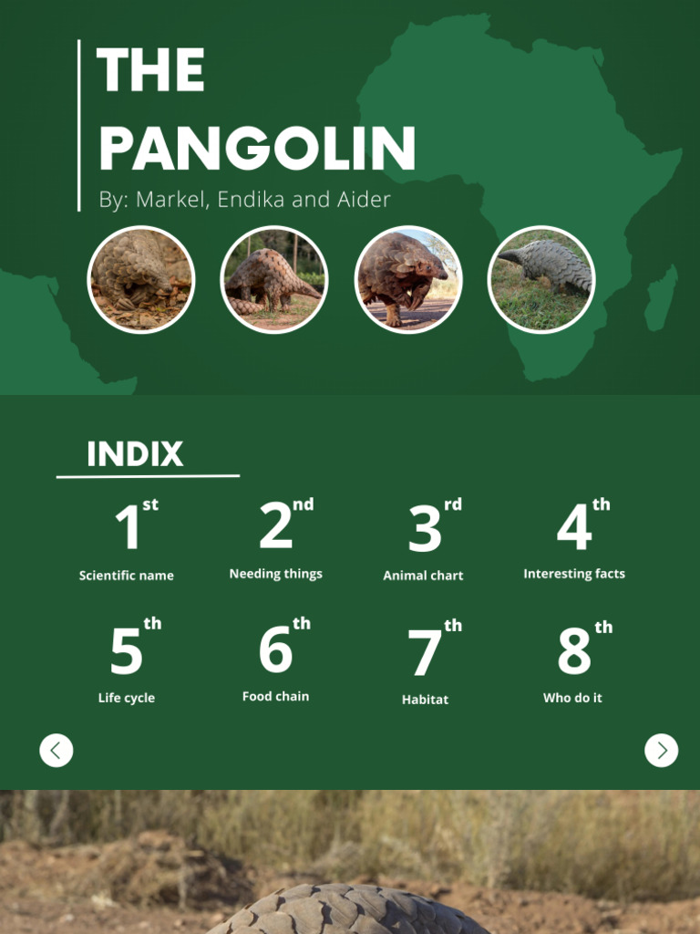 The Pangolin | PDF