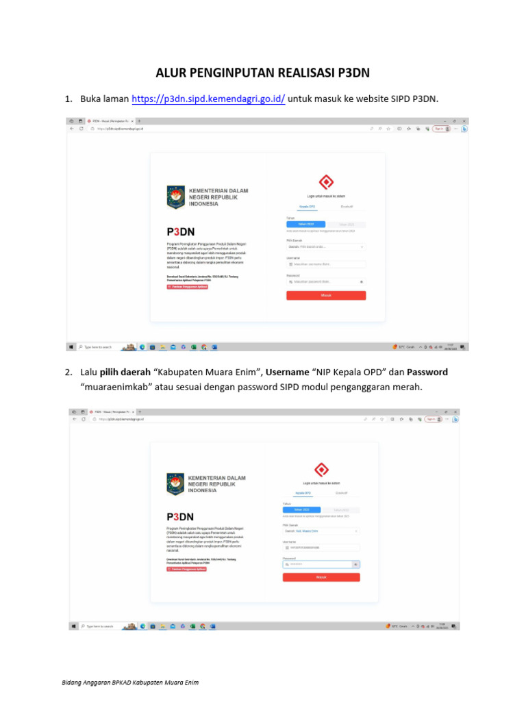 Alur Penginputan Realisasi P3DN | PDF