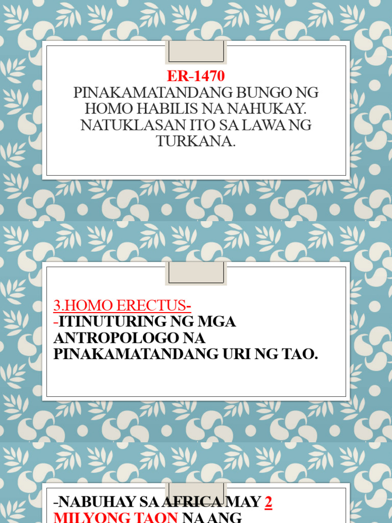 A.p.8 Pinagmulan NG Tao 2 | PDF