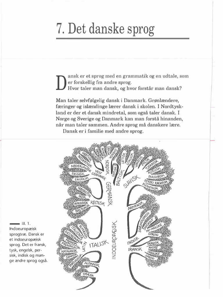 Det danske sprog | PDF