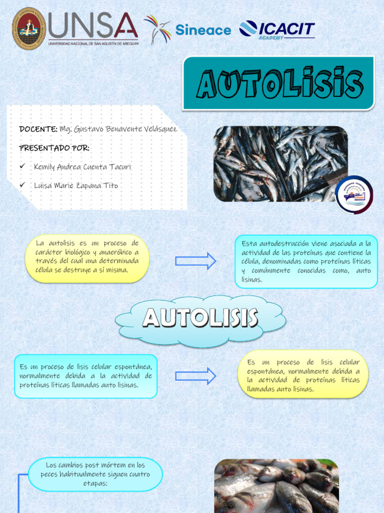 AUTOLISIS | PDF | Biología Celular) | Estómago