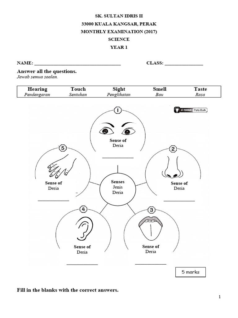 DLP SC Year 1 Test | PDF