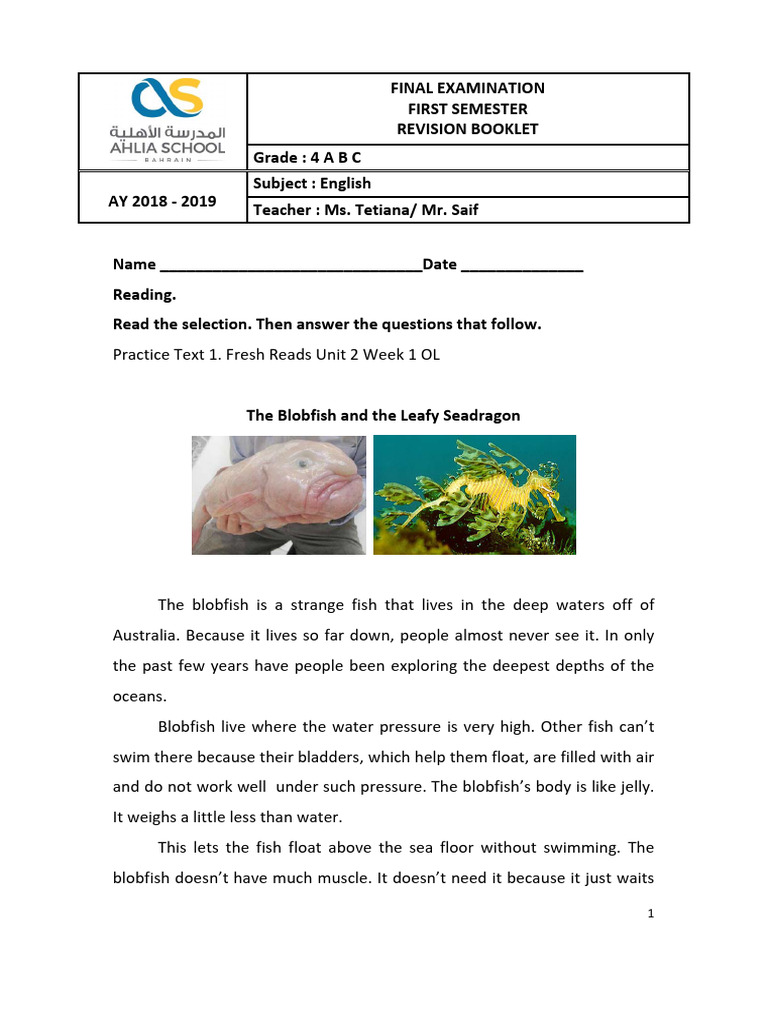 Eng - G4 Final Exam Revision | PDF