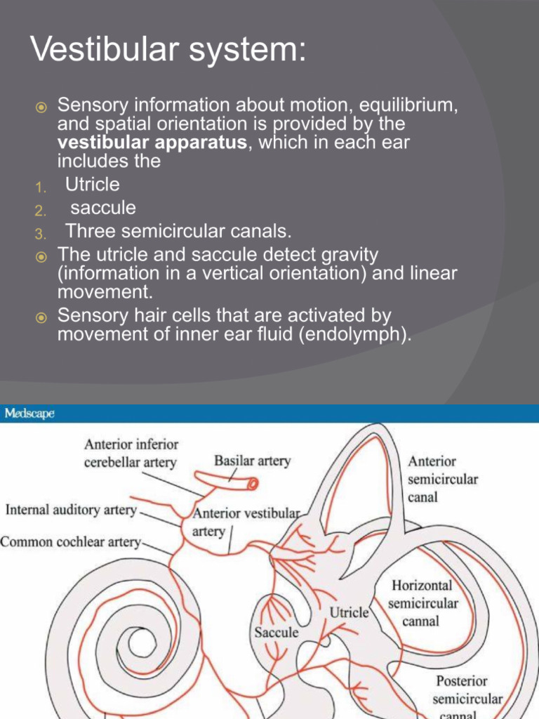 Vestibular Disorders | PDF