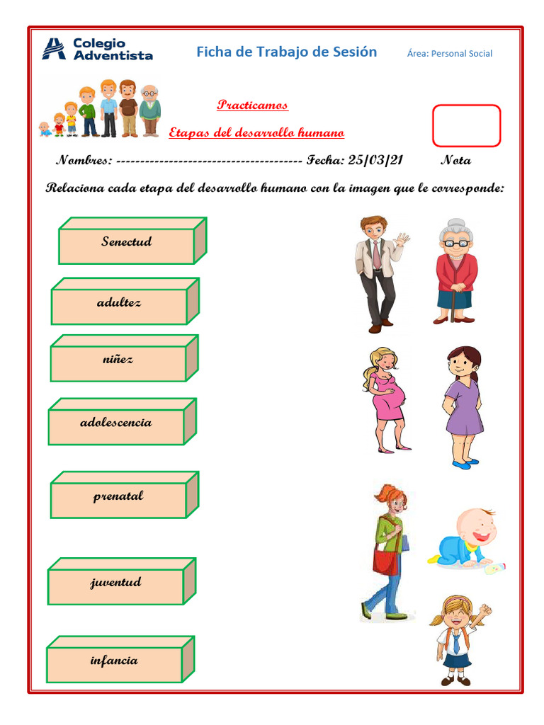 Ficha Etapas Del Desarrollo Humano 3ro | PDF | Crecimiento personal y profesional | Relaciones ...