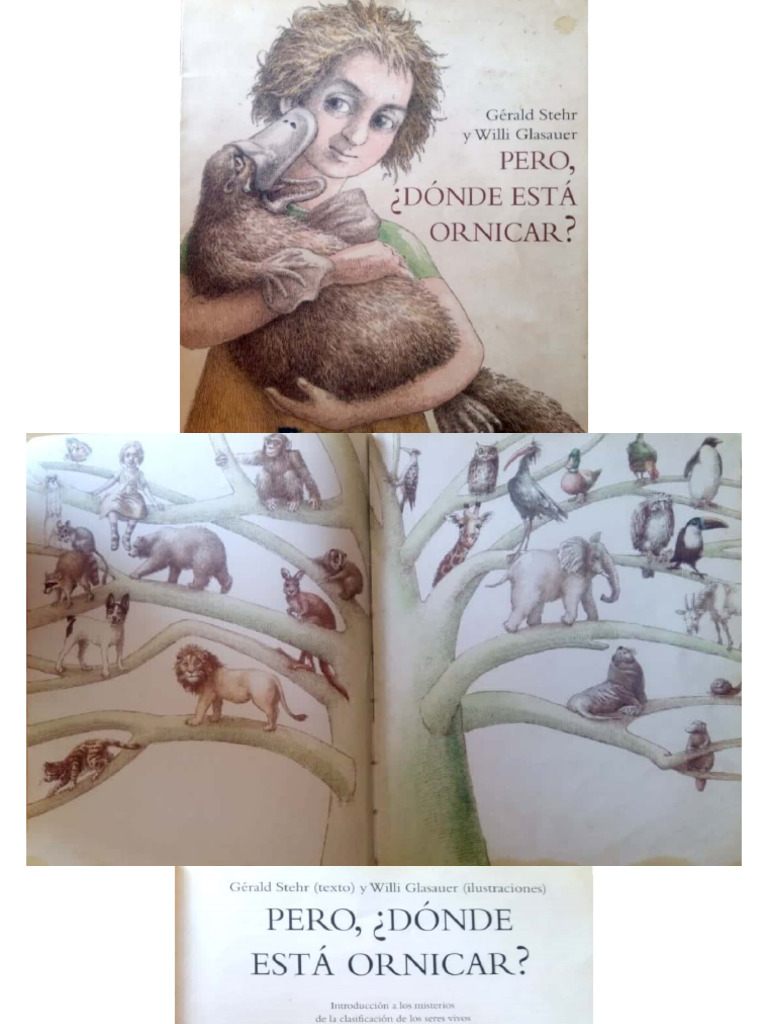 Pero Donde Esta Ornicar | PDF