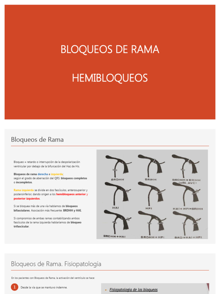 Bloqueos de Rama | PDF
