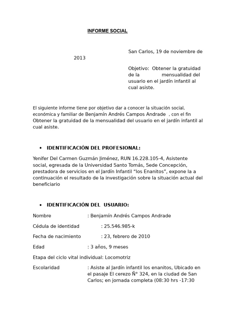 Informe Social | PDF