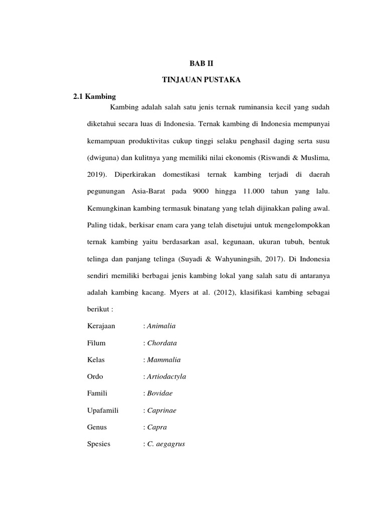 Susi Nur Rahmawati Bab 2 | PDF