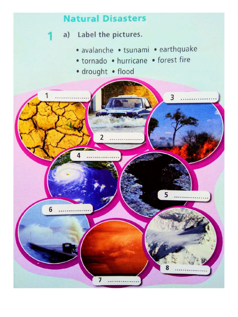 Vocabulary Natural Disaster | PDF