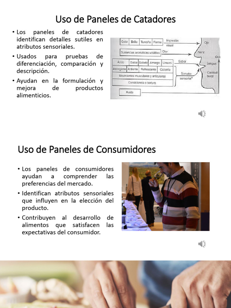 Uso de Paneles en Desarrollo Alimentario | PDF