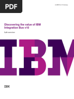 ACE 12 Ibmint Command Cheat Sheet | PDF | Computer Programming | Computer Science