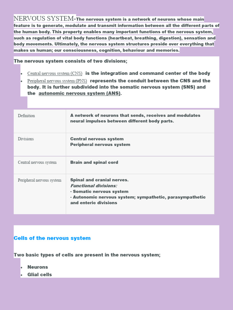 Reviewer Nervous System Anaphy | PDF | Central Nervous System | Nervous ...
