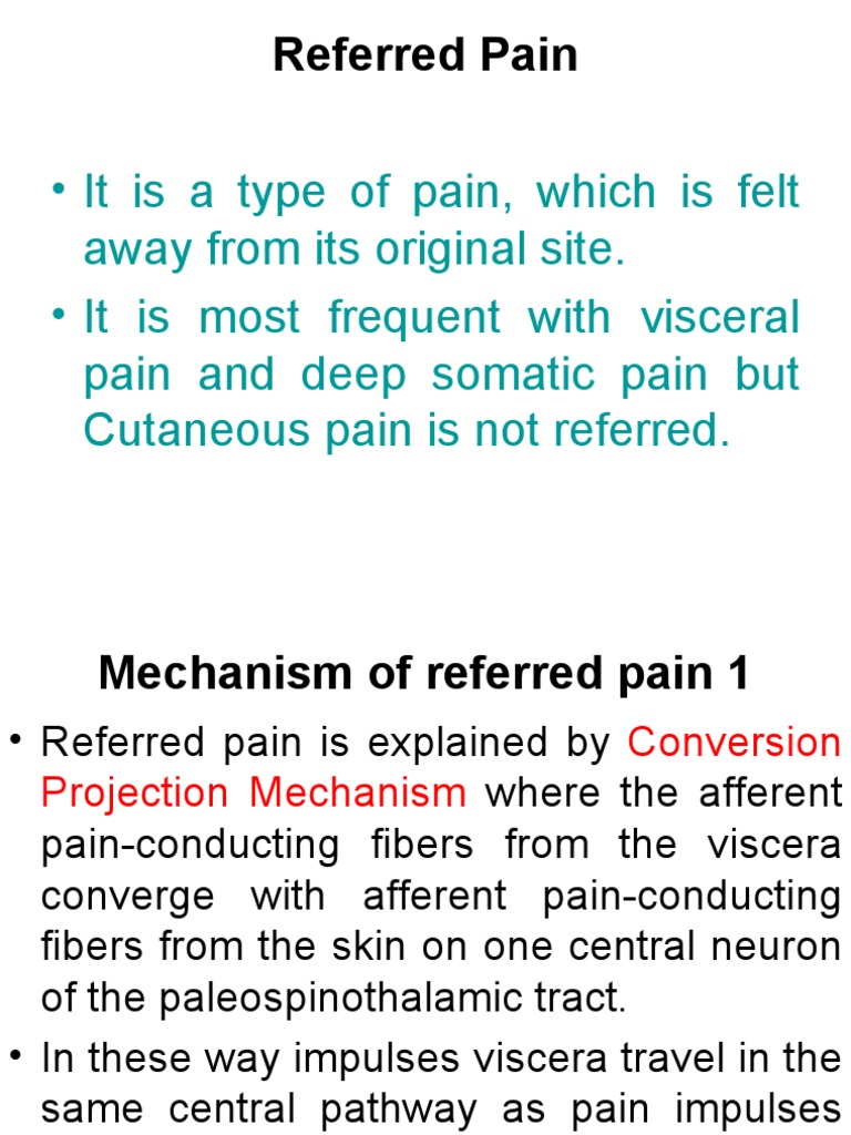 Referred Pain | PDF | Somatosensory System | Headache