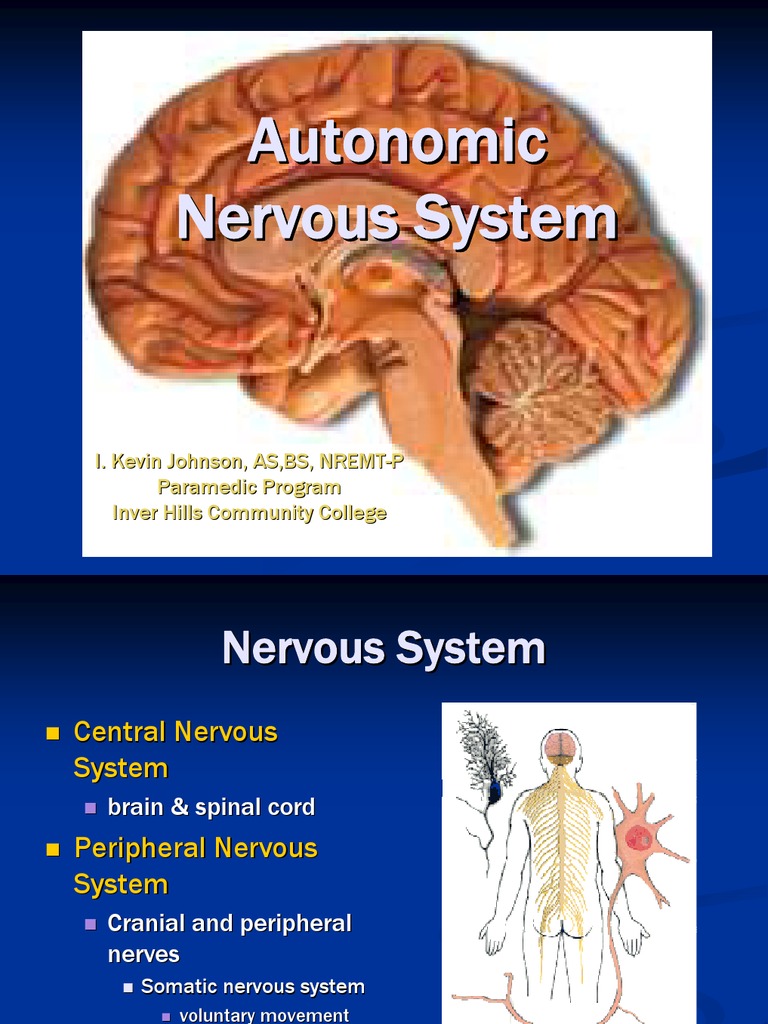 Laboratory - Autonomic | PDF | Autonomic Nervous System | Nervous System