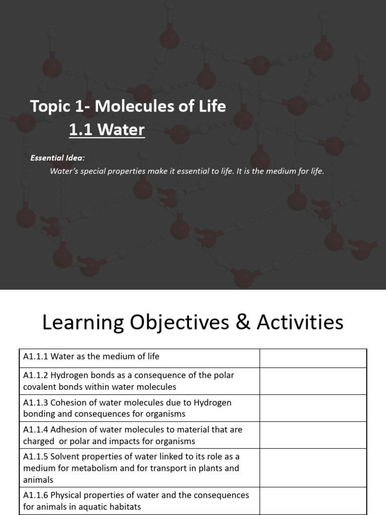 A1.1 Water | PDF | Solvation | Properties Of Water