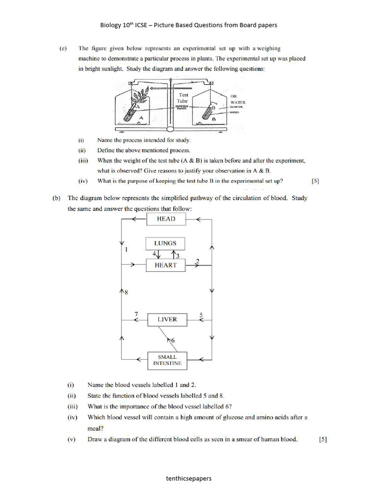 10th Picture Questions Biology 10th ICSE | PDF