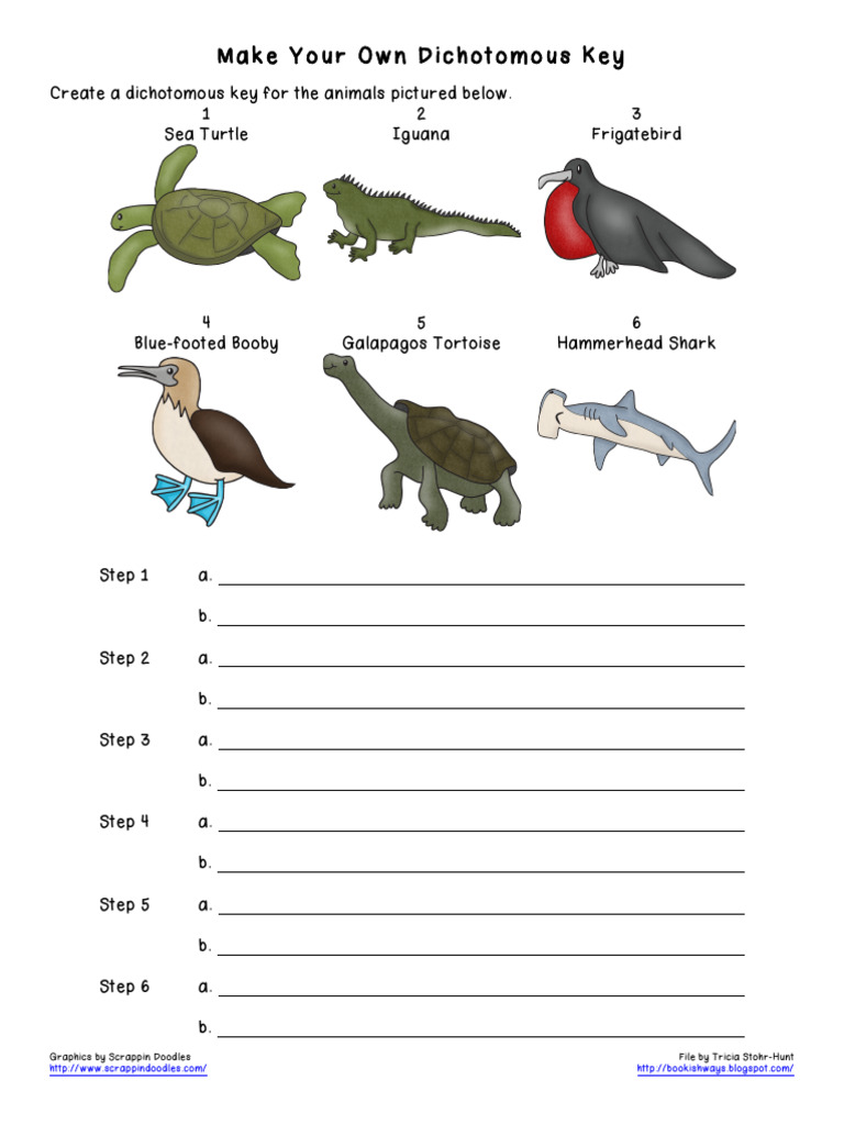 Dichotomous key worksheet | PDF