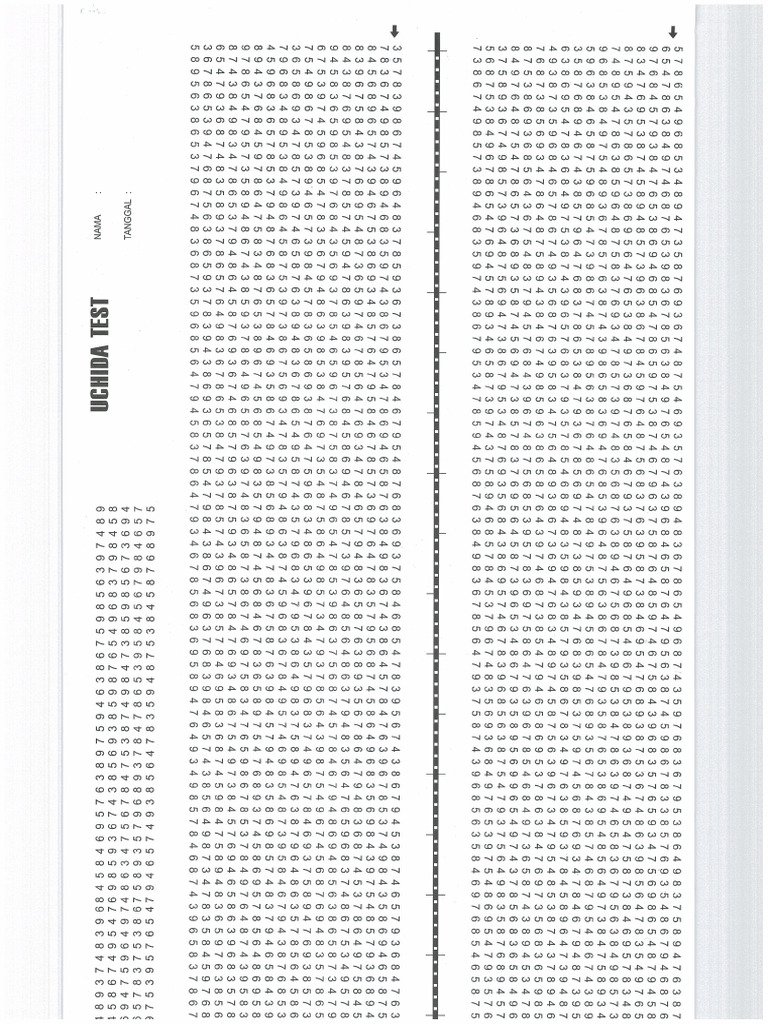 UCHIDA TEST-15 | PDF