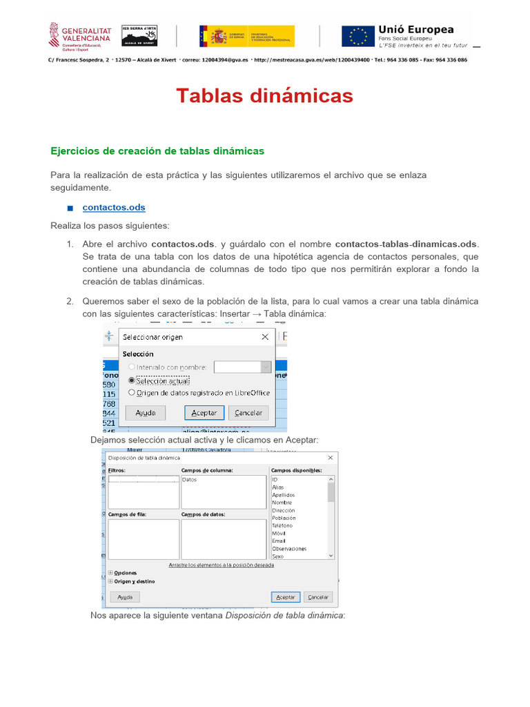 Ejercicios de Tablas Dinámicas en ODS | PDF | Finanzas y dinero | Informática