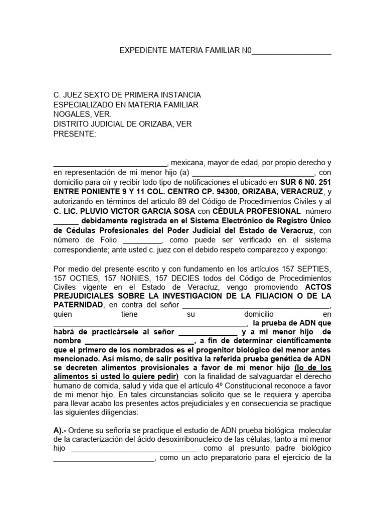 Formato Actos Prejudiciales Filicion Reconocimiento de Paternidad | PDF ...