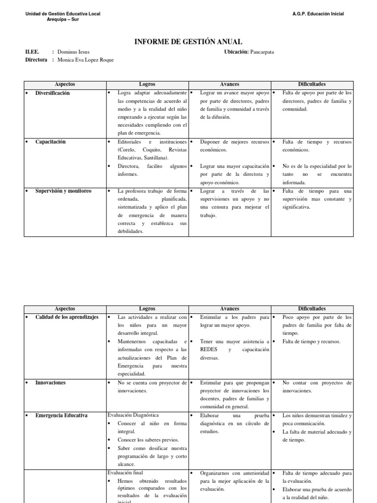 Informe de Gestión Anual | PDF