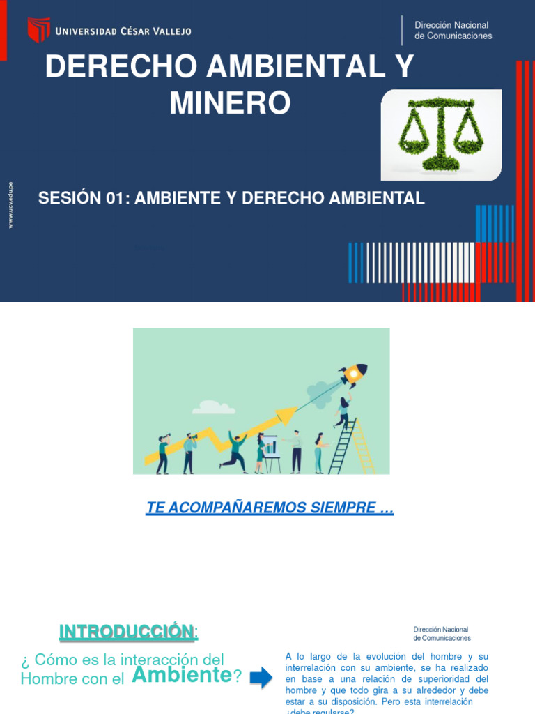 Dere Ambiental y Minero | PDF