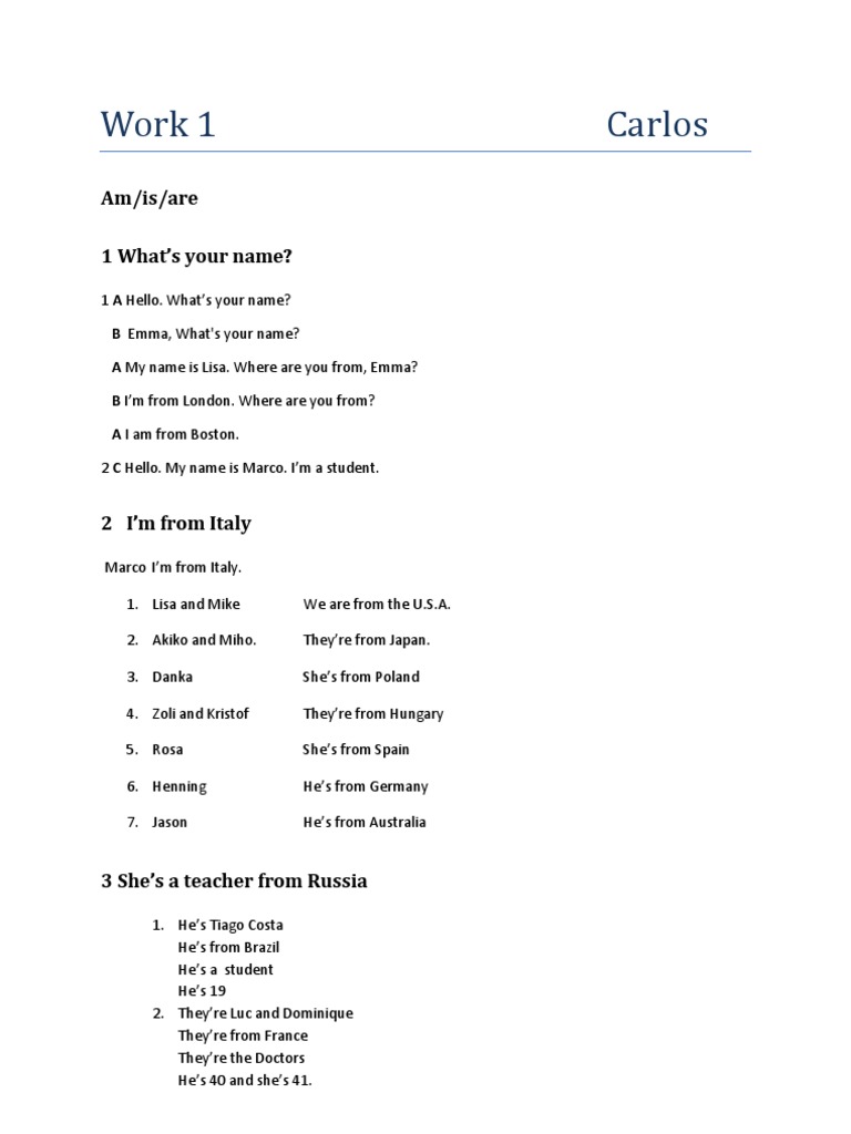 Possessive Adjectives Work 1 | PDF