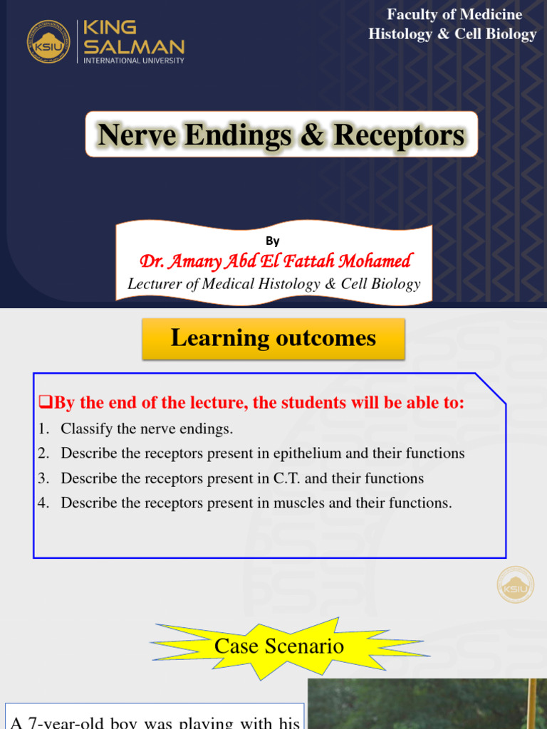 Nerve Endings and Their Functions | PDF