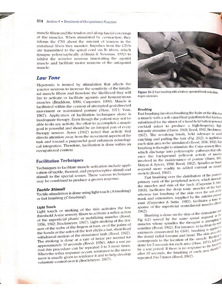 Roods Approach | PDF