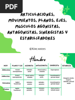 Reflejos Osteotendinosos (Rot) | PDF